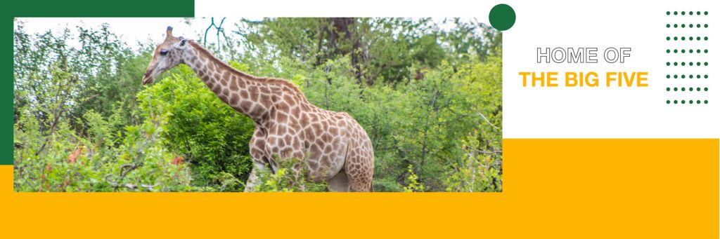 Bushbuckridge Municipality - Home