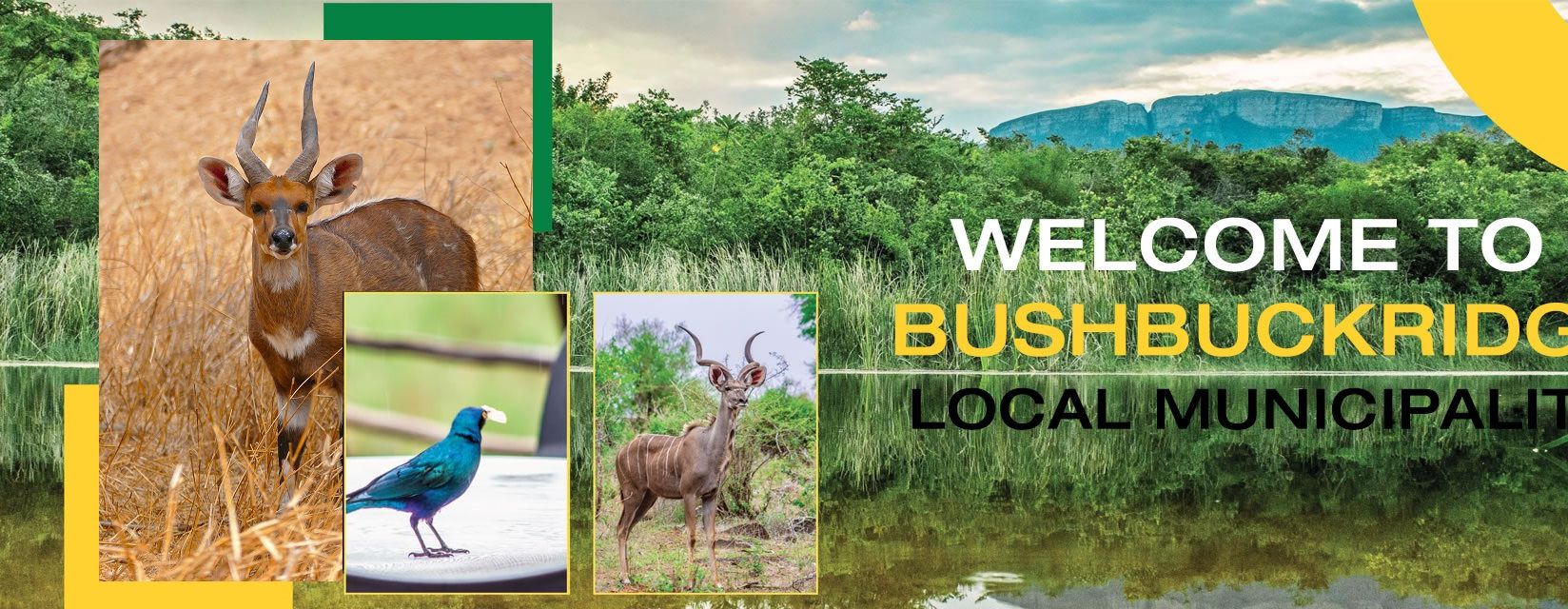 Bushbuckridge Municipality - Home